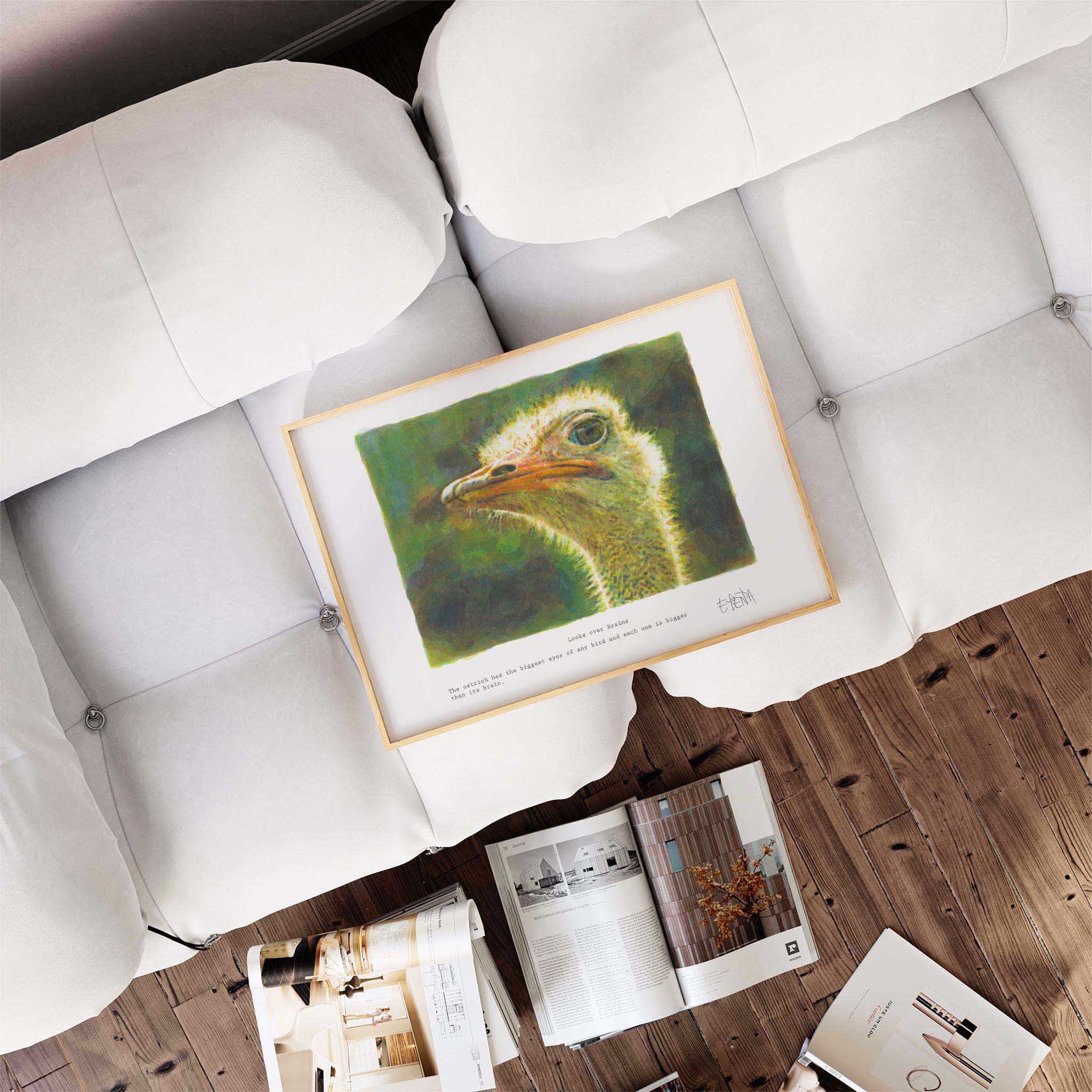 All Prints | Art from Latin America | Studio Parga